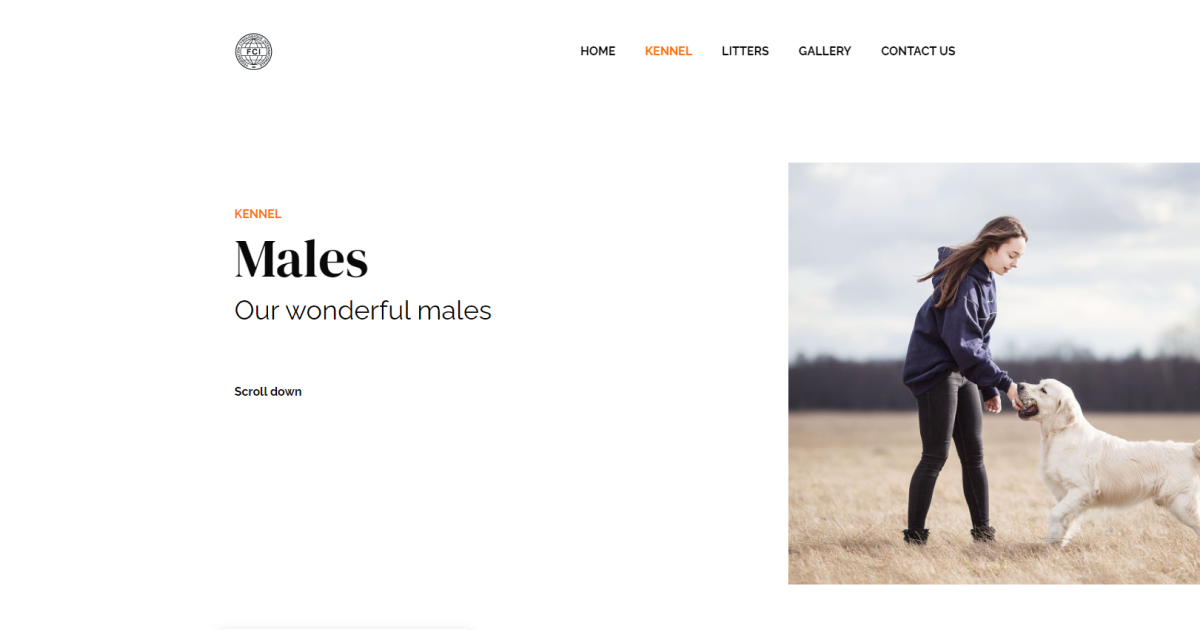 Delimore FCI - Males